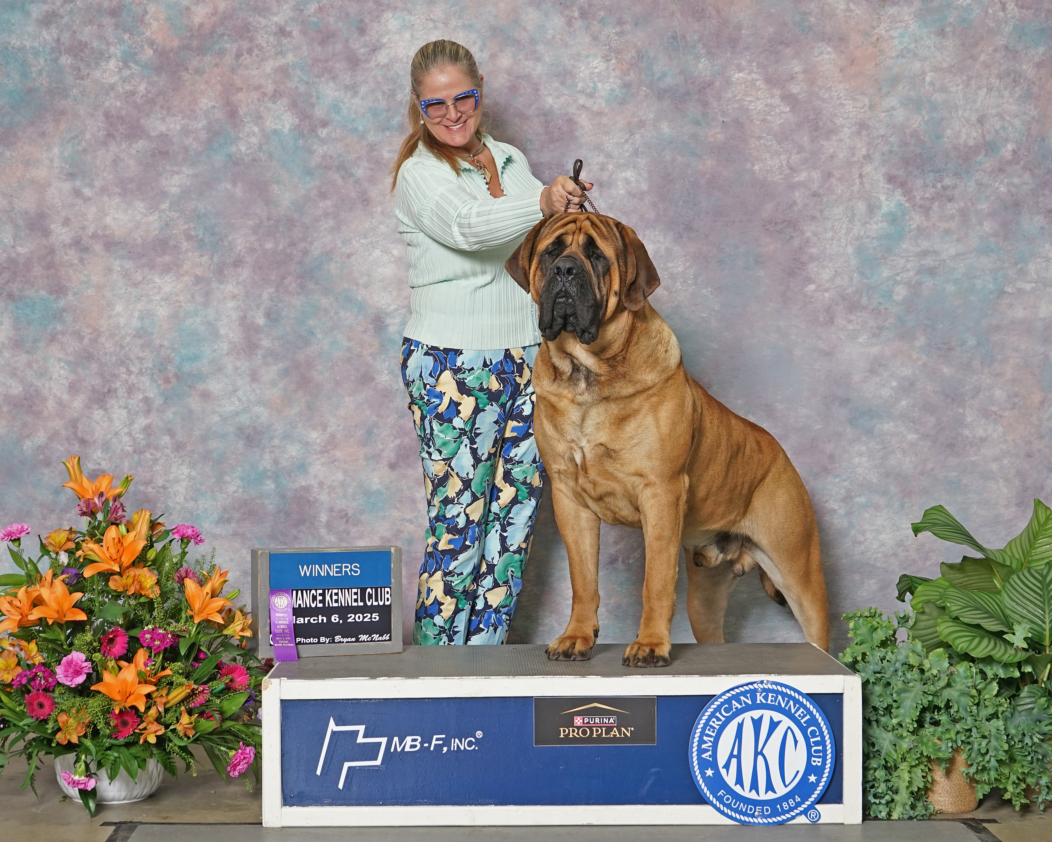 CJ (New Champion) - Deer Creek Mastiffs | New Park, PA